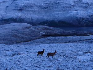 Personalized tour Scotland - nc500 - ne250 - sw300 bespoke tours